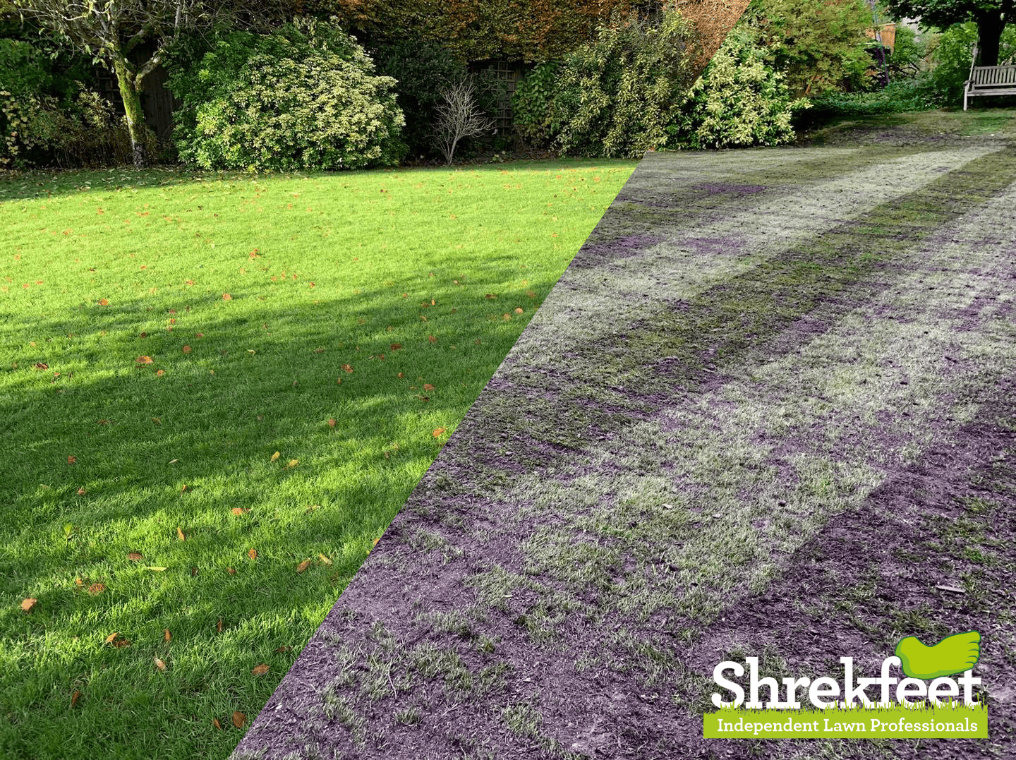 The Benefits of Top-Dressing Your Lawn: A Simple Step Towards Healthier ...